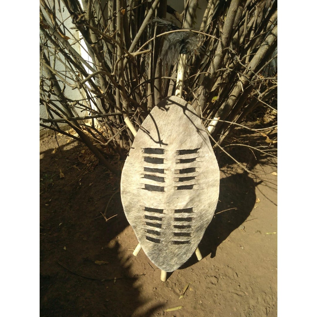 Escudo cultural tradicional zulú del guerrero africano de tamaño ...