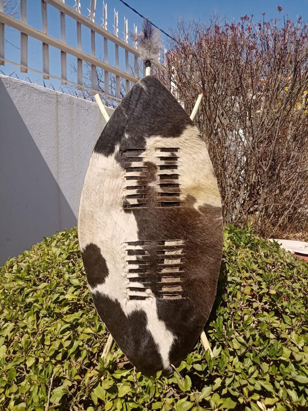 Authentic Black and White Zulu Shield Isihlangu 92cm Tall, Handcrafted ...