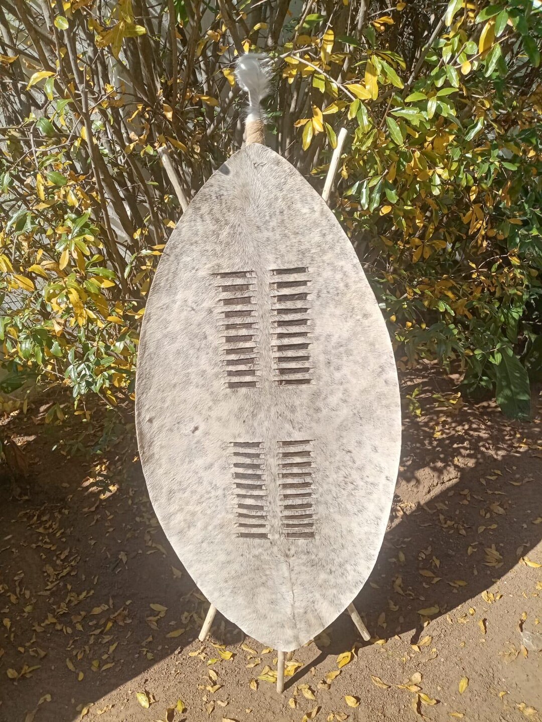 Extra Large Grey & White Zulu Shield | 145cm X 55cm Genuine Cowhide ...