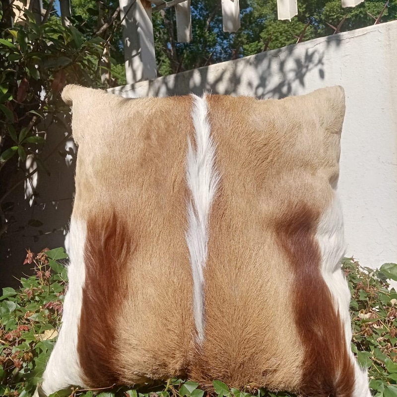 Springbok Antelope Hides - Etsy