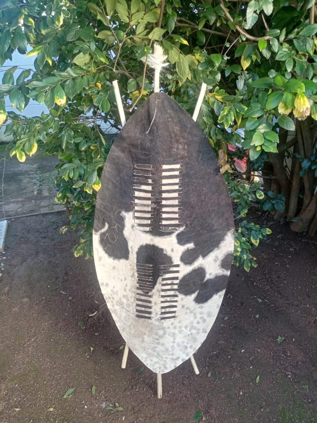 XL Black & White Zulu Shield – 145cm Extra Large | Isihlangu Cowhide ...