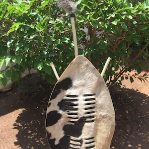 Authentic Black and White Zulu Shield Isihlangu 92cm Tall, Handcrafted ...