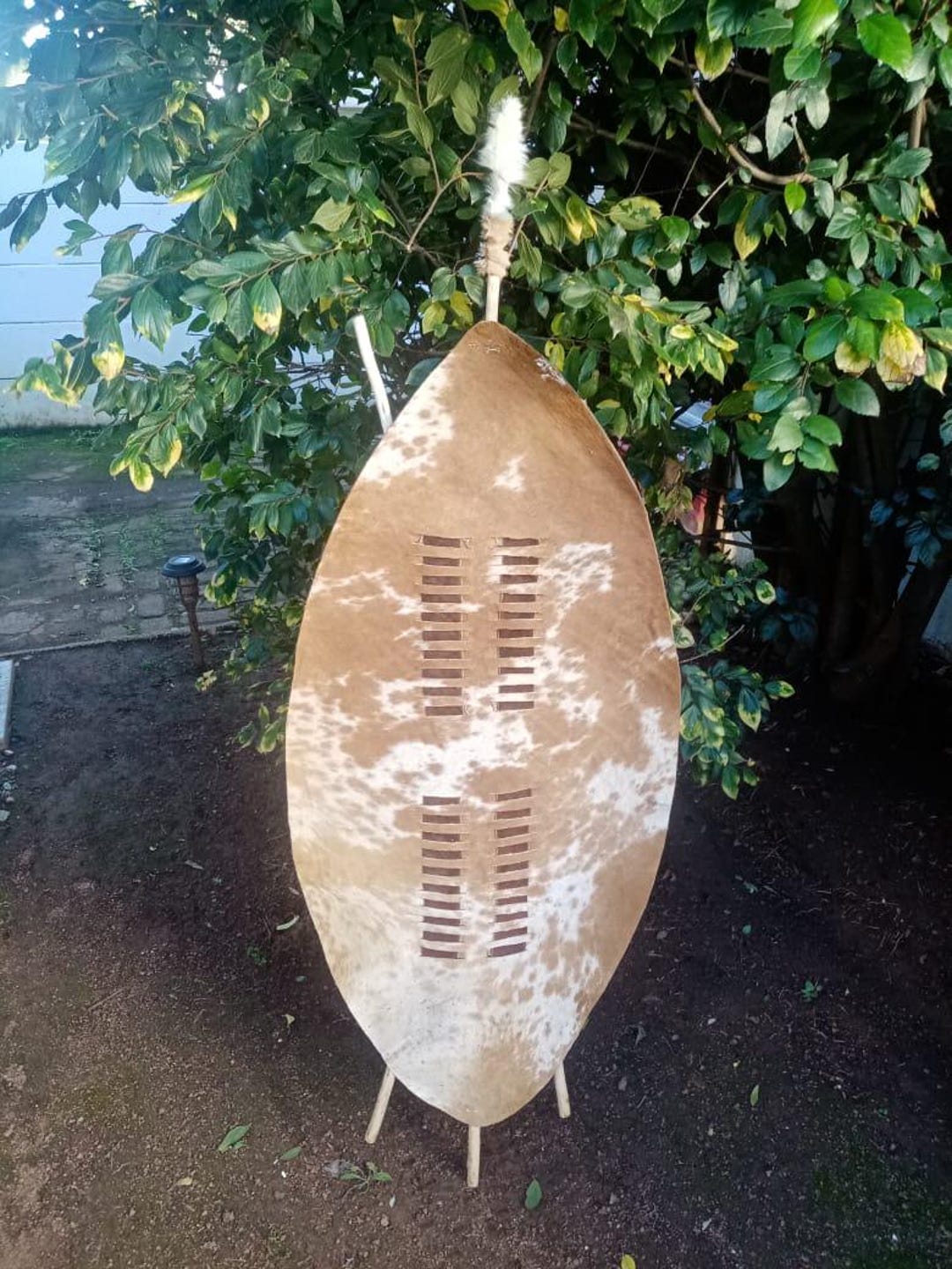 XL Brown & White Zulu Shield | 145cm Traditional Isihlangu | Authentic ...