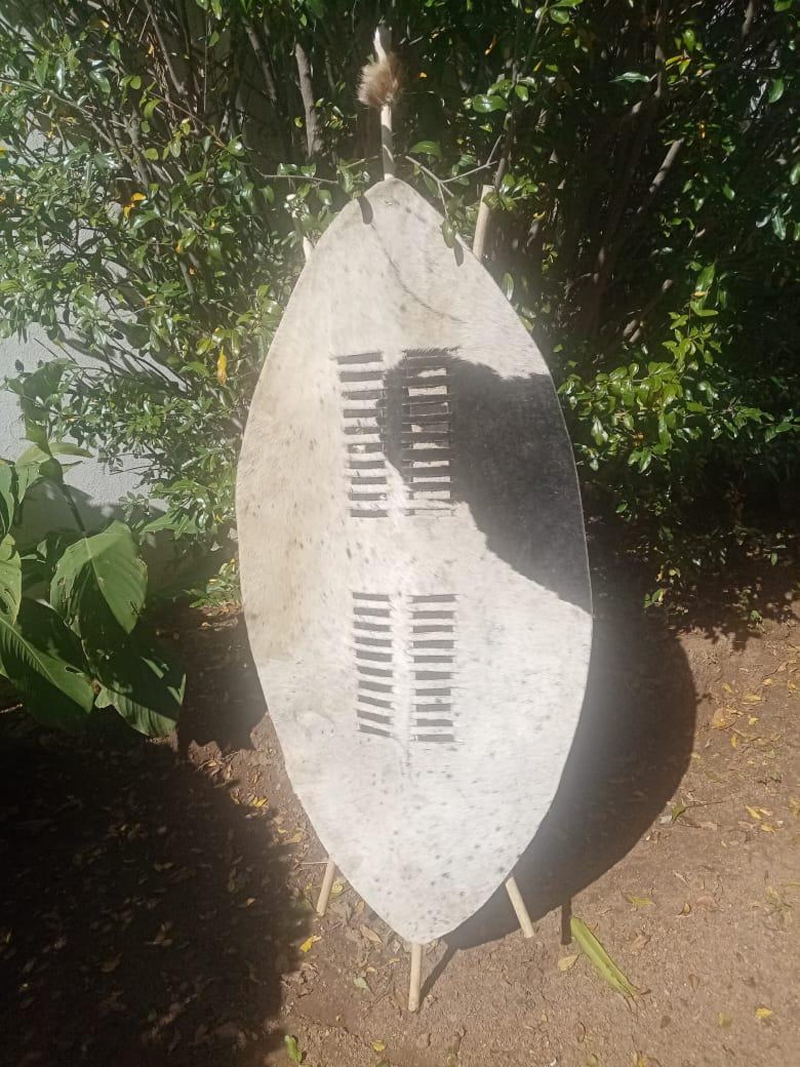 XXL 145cm Black and White Zulu Shield | Traditional African Warrior ...