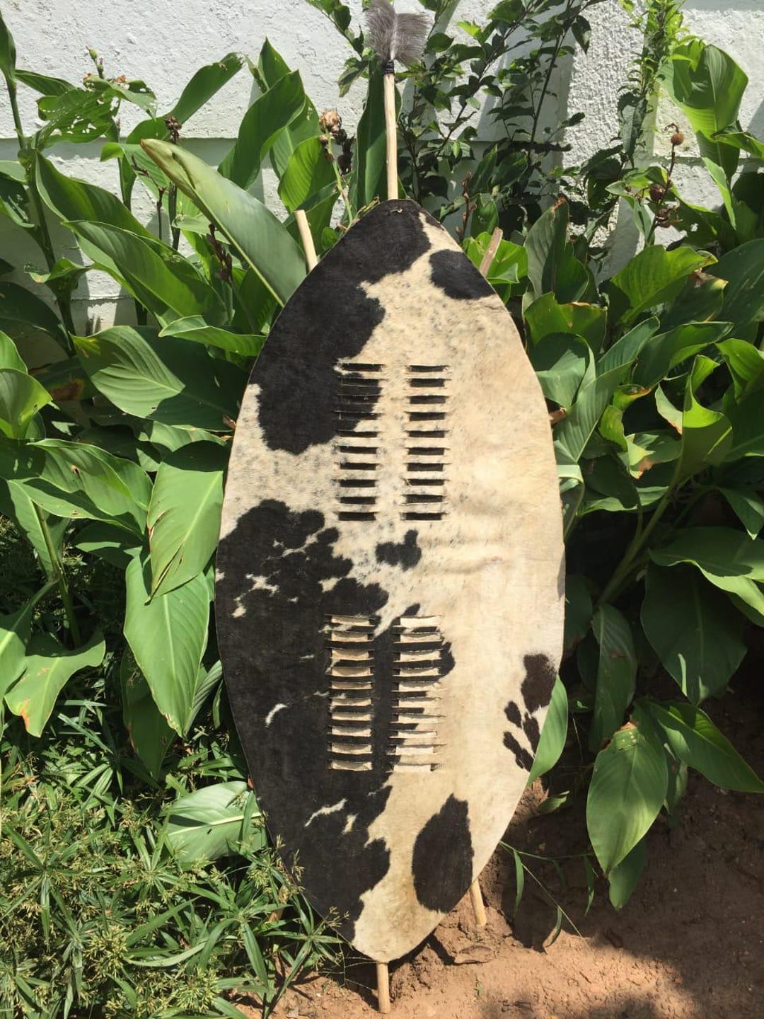 Extra Large Zulu Shield - 140cm Tall White and Black Cowhide ...