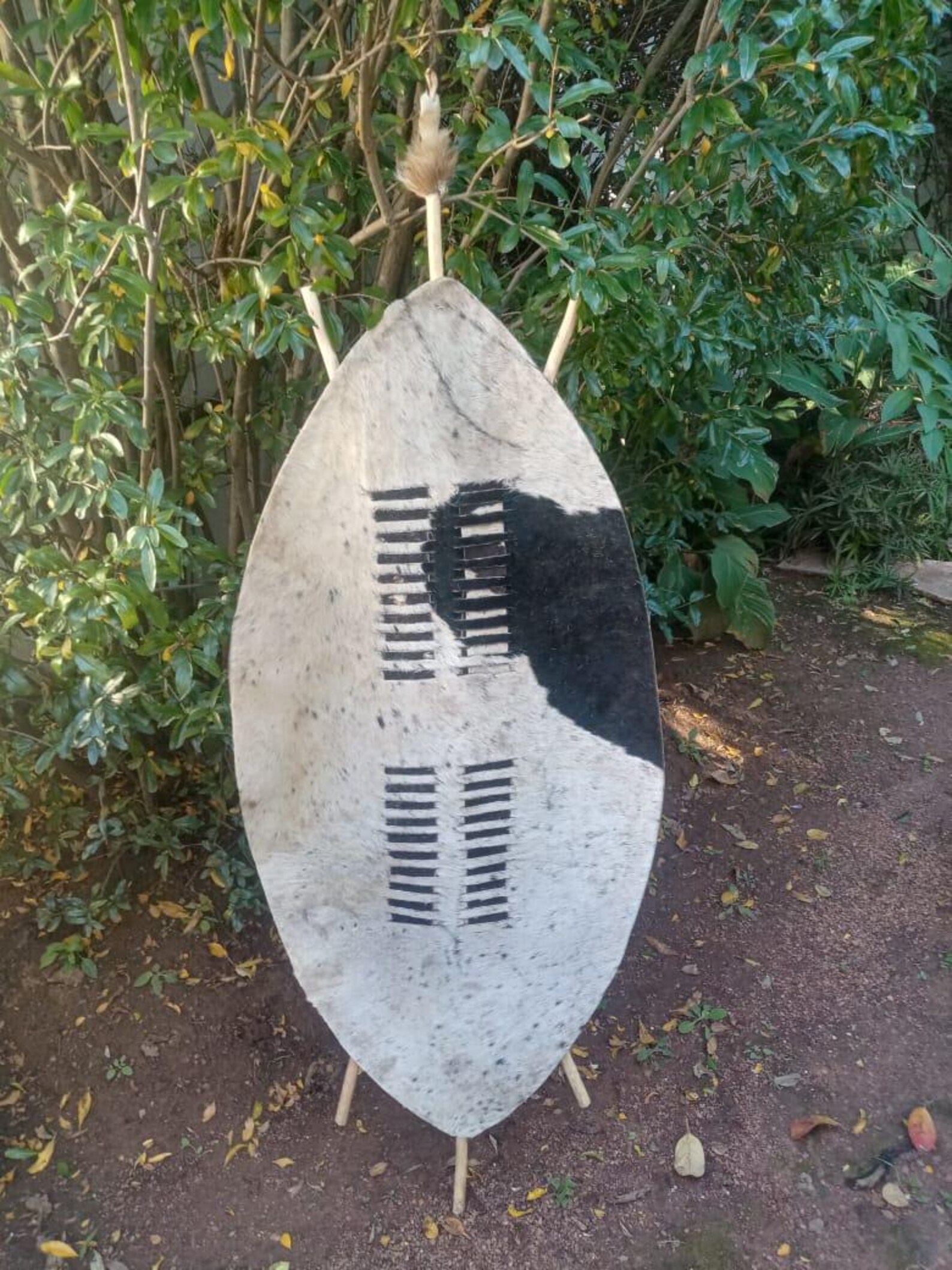 XXL 145cm Black and White Zulu Shield | Traditional African Warrior ...