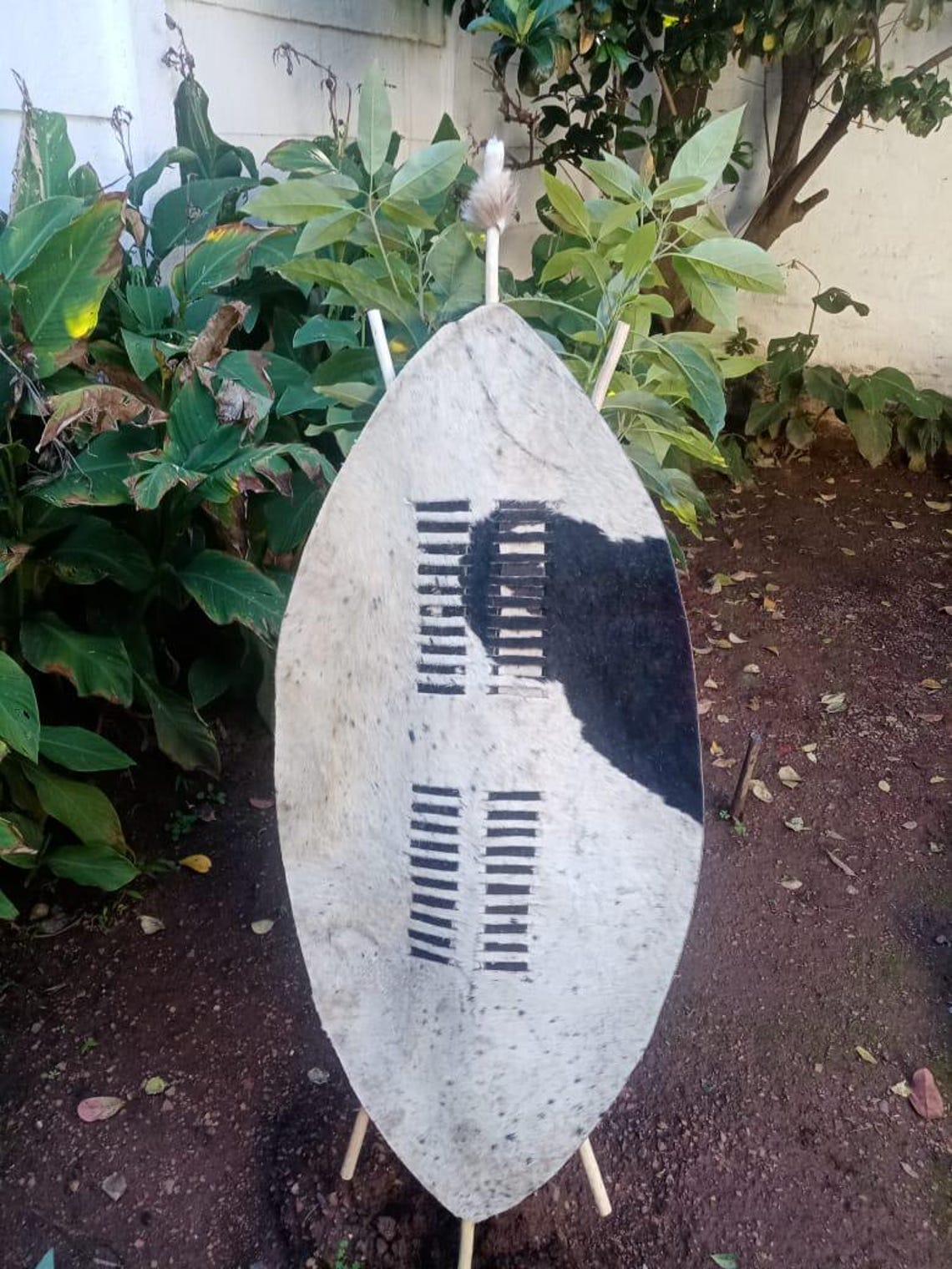 XXL 145cm Black and White Zulu Shield | Traditional African Warrior ...