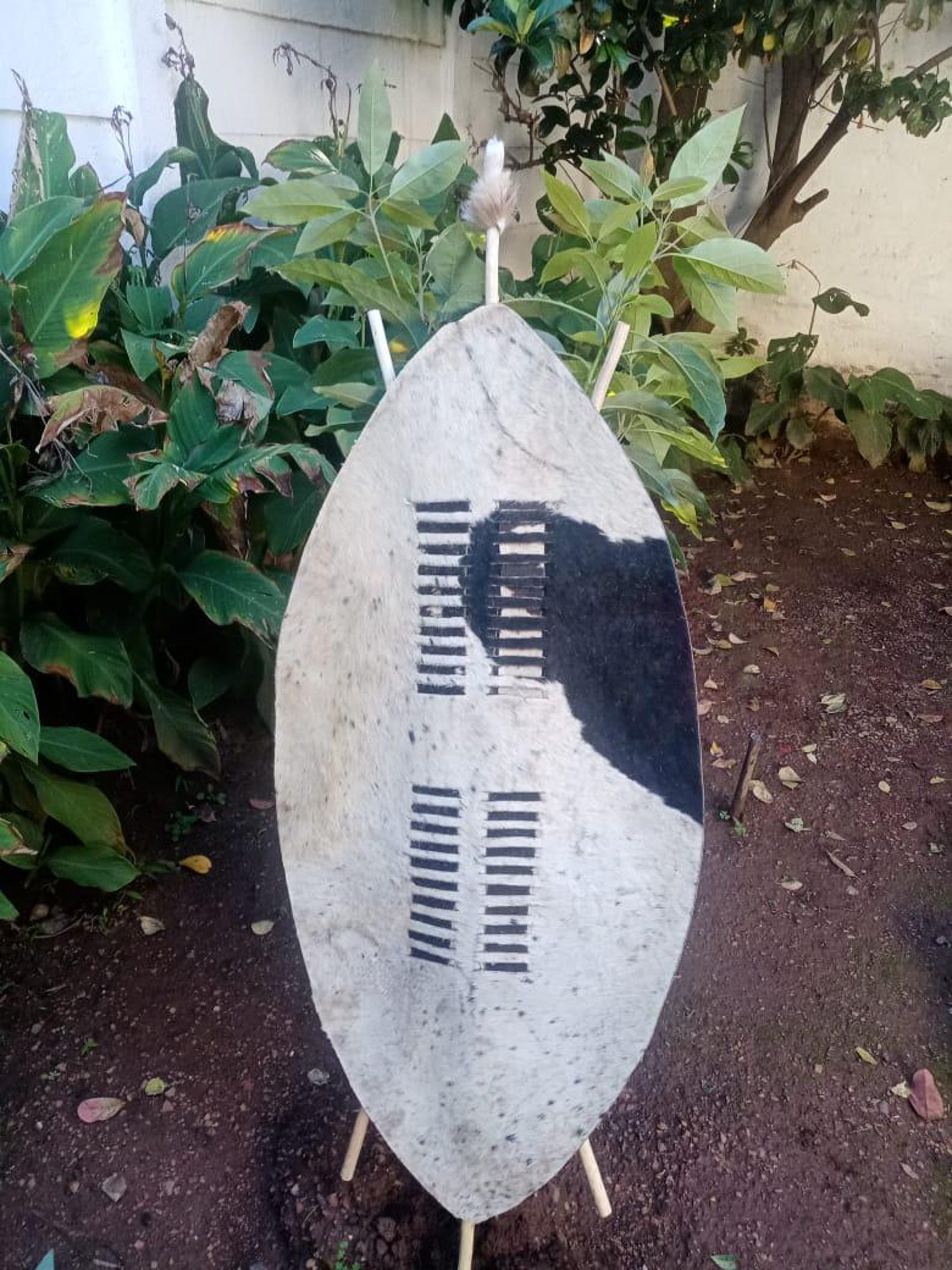 XXL 145cm Black and White Zulu Shield | Traditional African Warrior ...