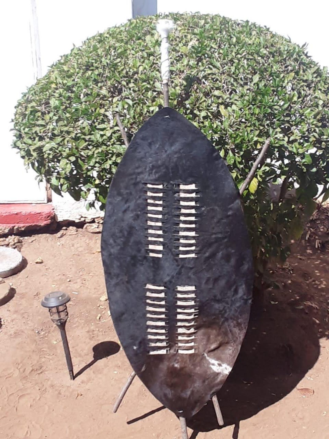 Authentic Extra Large Zulu Shield Handcrafted African Warrior Shield ...