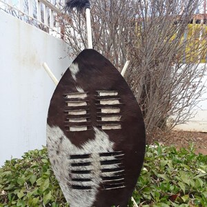 Medium-sized White and Brown Zulu Shield – 70cm Authentic African ...