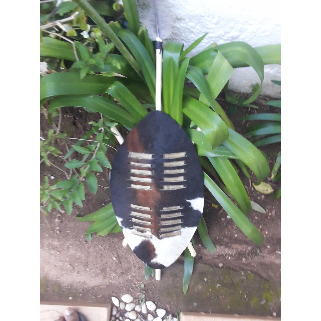 Medium Sized African Warrior Zulu Traditional Cultural Shield for Women ...