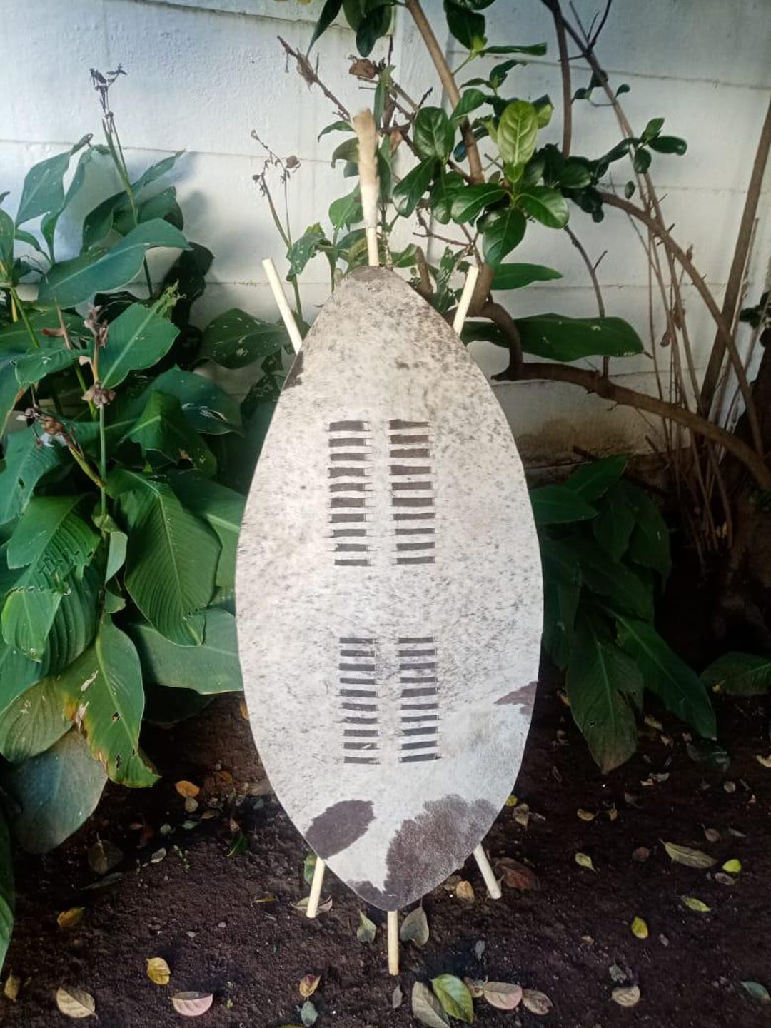 Extra Large Grey & White Zulu Shield | 145cm X 55cm Genuine Cowhide ...