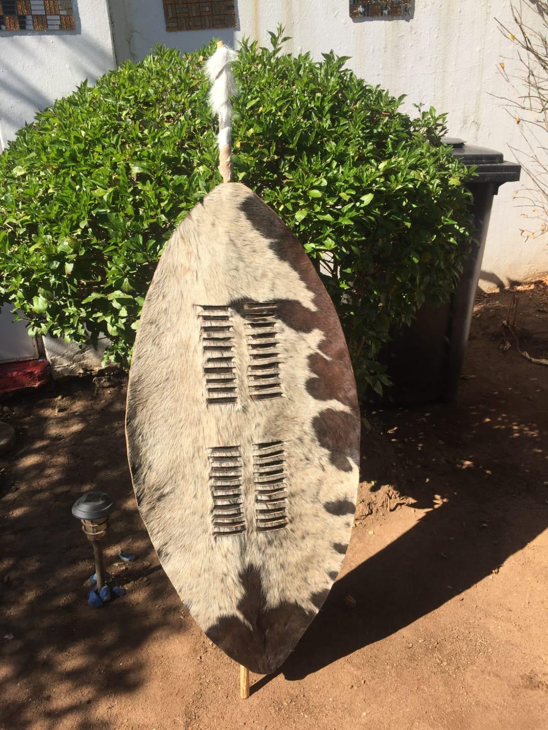 XL Brown & White Zulu Shield | 145cm Traditional Isihlangu | Authentic ...
