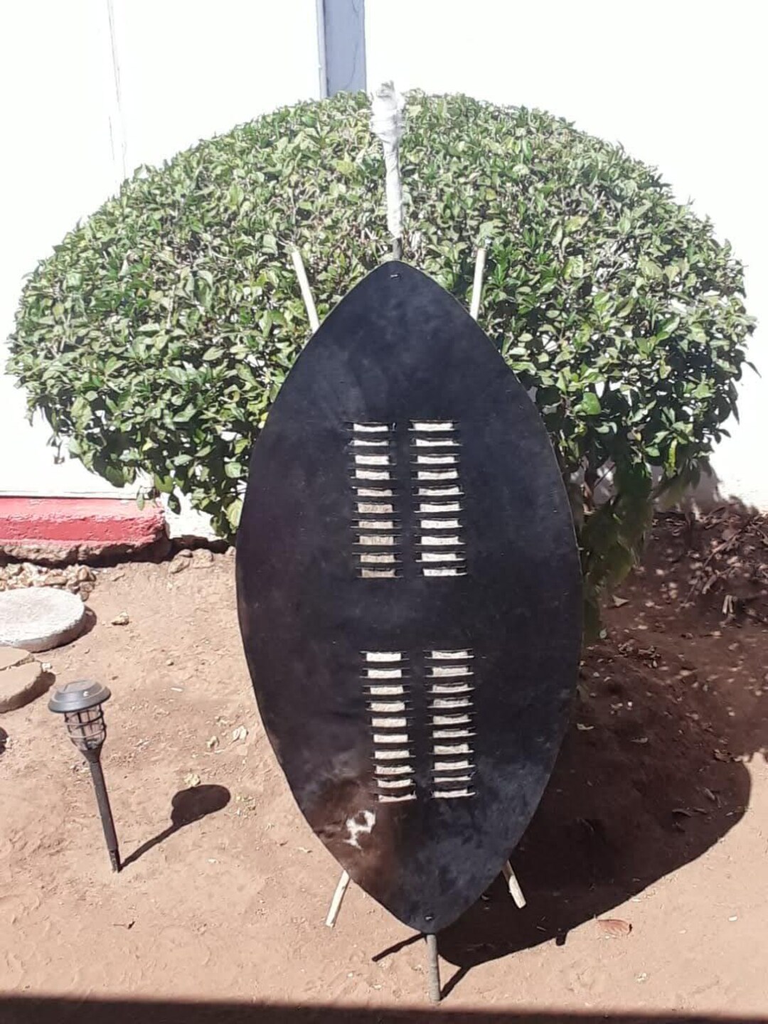 Extra Large Zulu Shield 155cm Black and White Cowhide Traditional ...