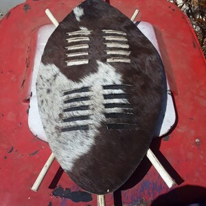 Medium-sized White and Brown Zulu Shield – 70cm Authentic African ...