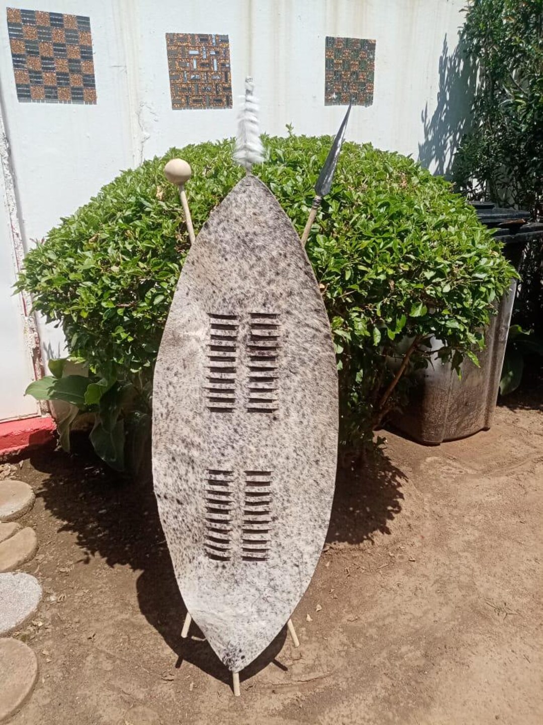 XXL Zulu Isihlangu Shield 57 Inch | Authentic White and Grey Cowhide ...