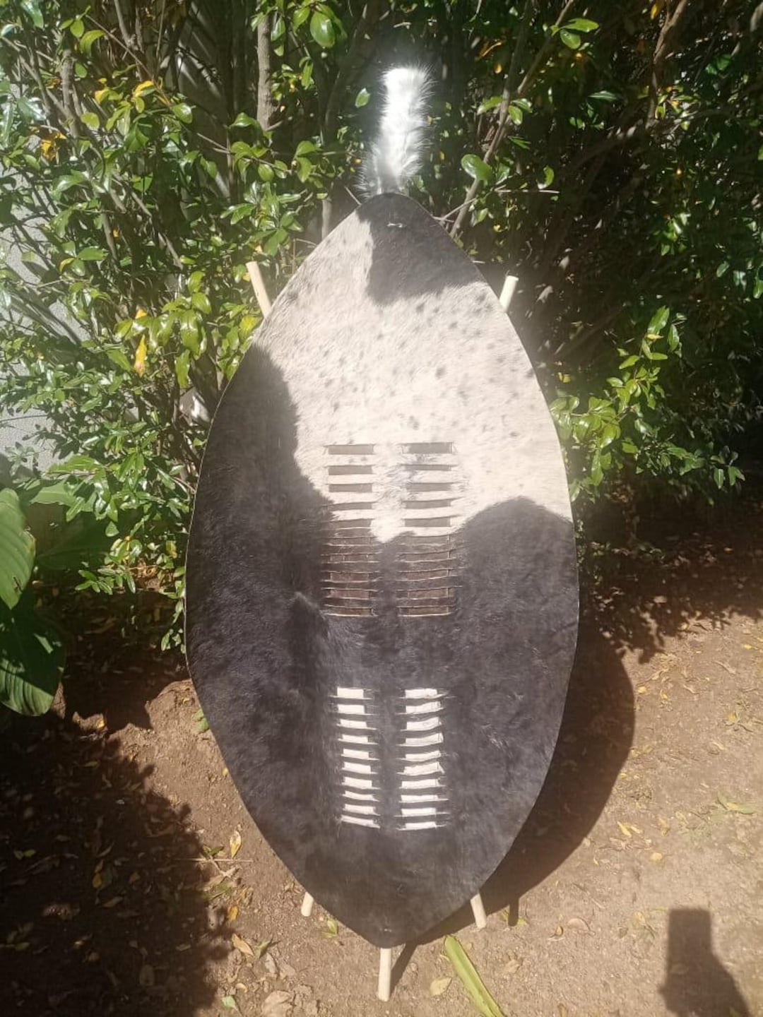 XL 145cm Black and White Zulu Shield | Traditional African Warrior ...