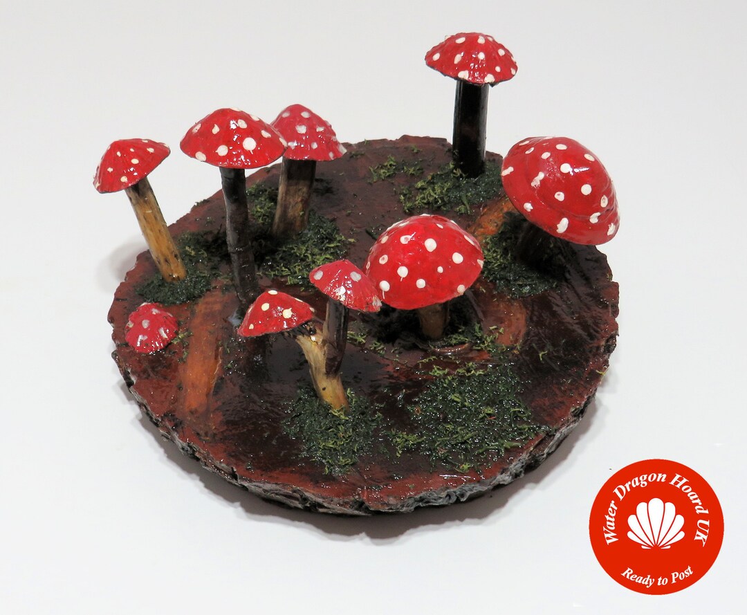 Unusual Woodland Limpet Shell and Driftwood Fairy Ring Scene, With a ...
