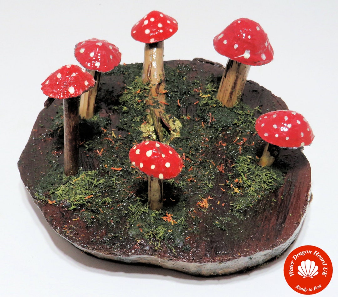 Unique Woodland Limpet Shell and Driftwood Toadstool Fairy Ring Table ...