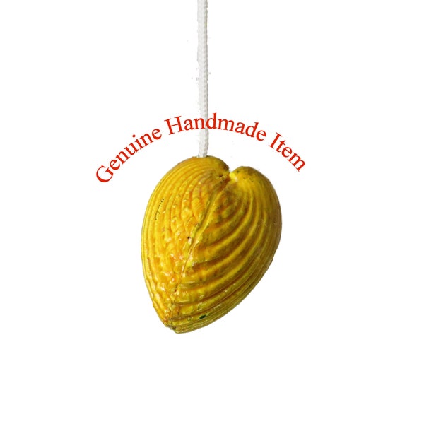 Yellow Cockle Shell - Etsy