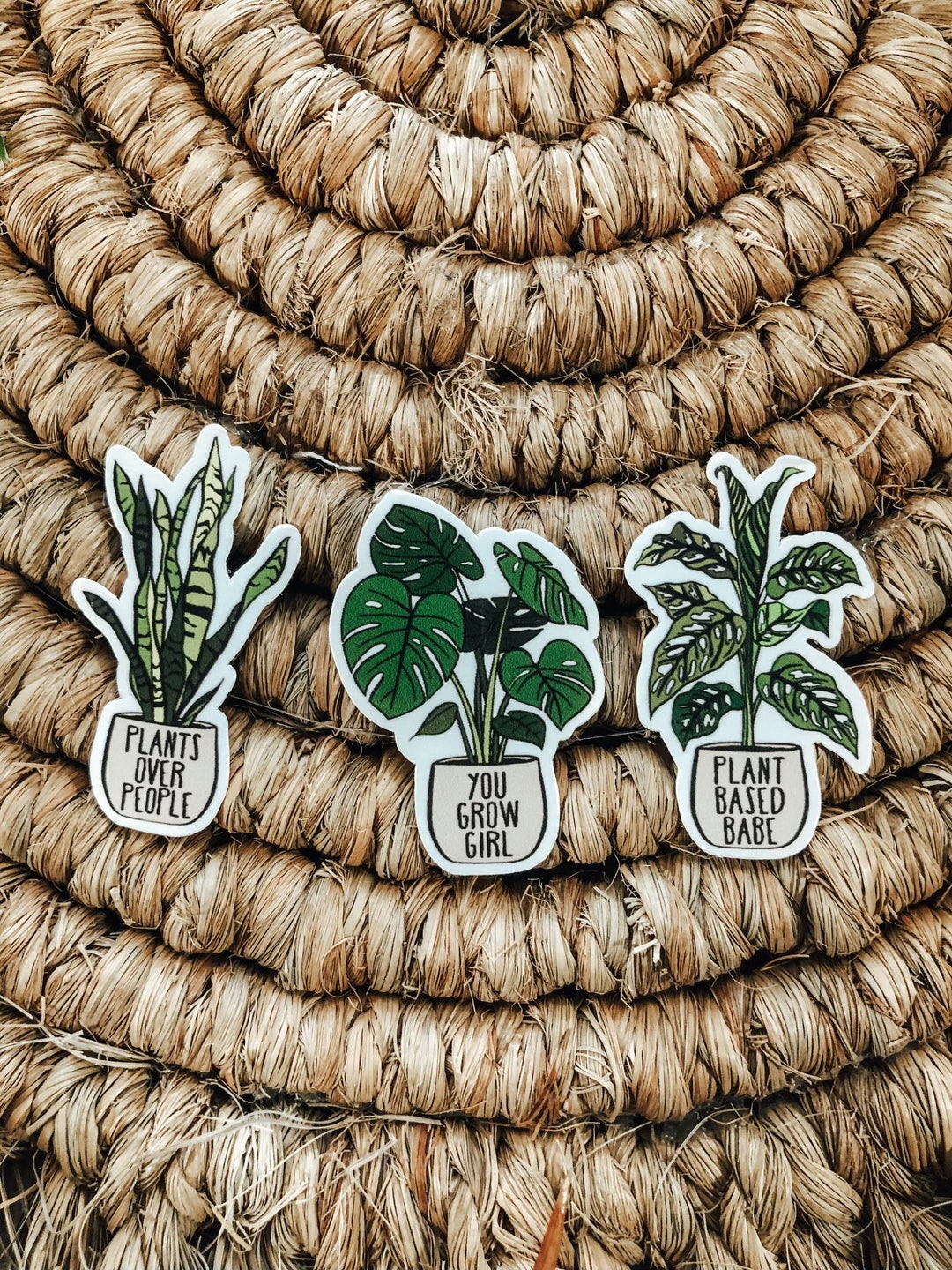 Mini Plant Stickers Set of 3 - Etsy