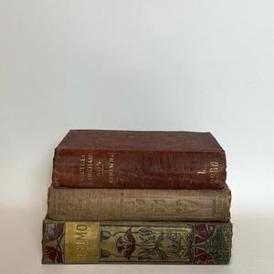 Antique Book Bundle Old Books Decorative Book Set Prop Display Vintage ...