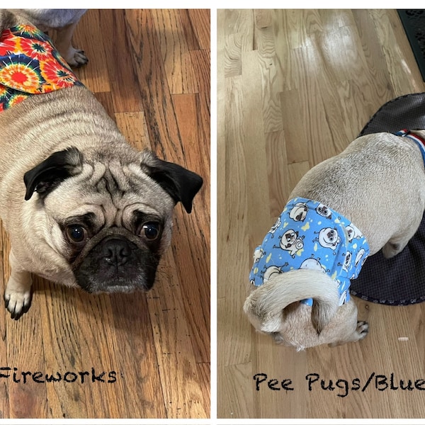 Belly Band for Dogs - Etsy