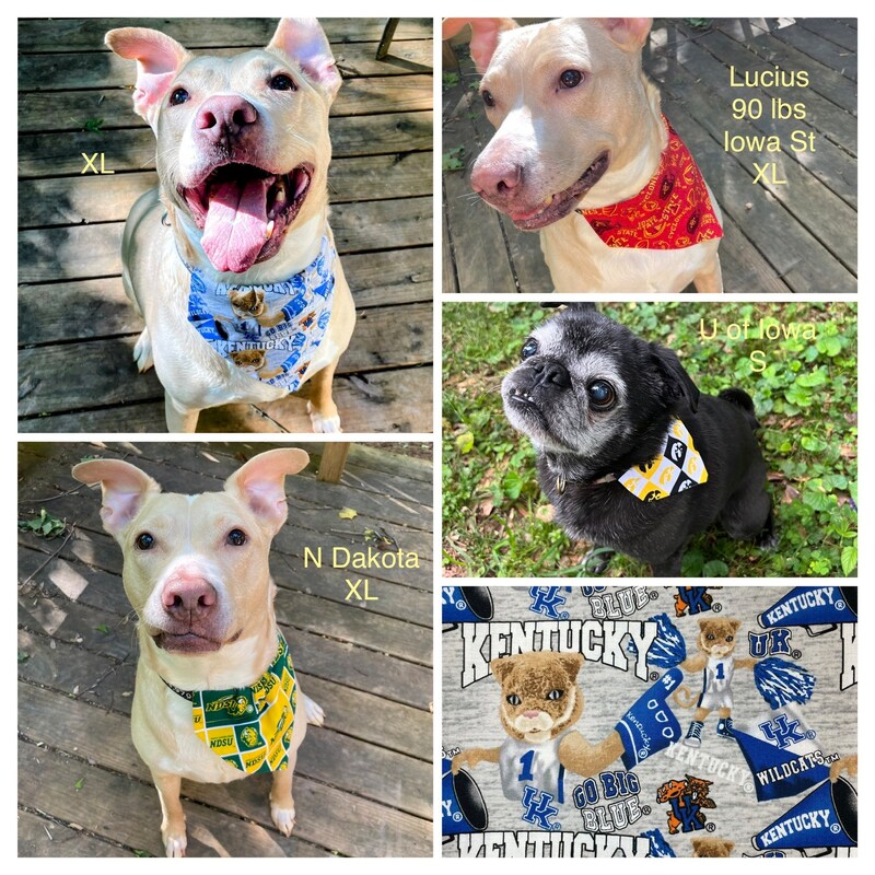 Iowa State Scarf - Etsy