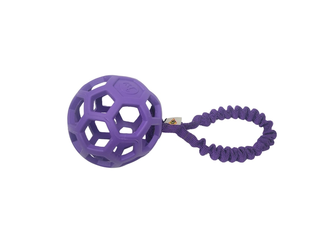 Hollee Ball With Short Bungee Handle Durable Dog Toy Colorful Toy for ...