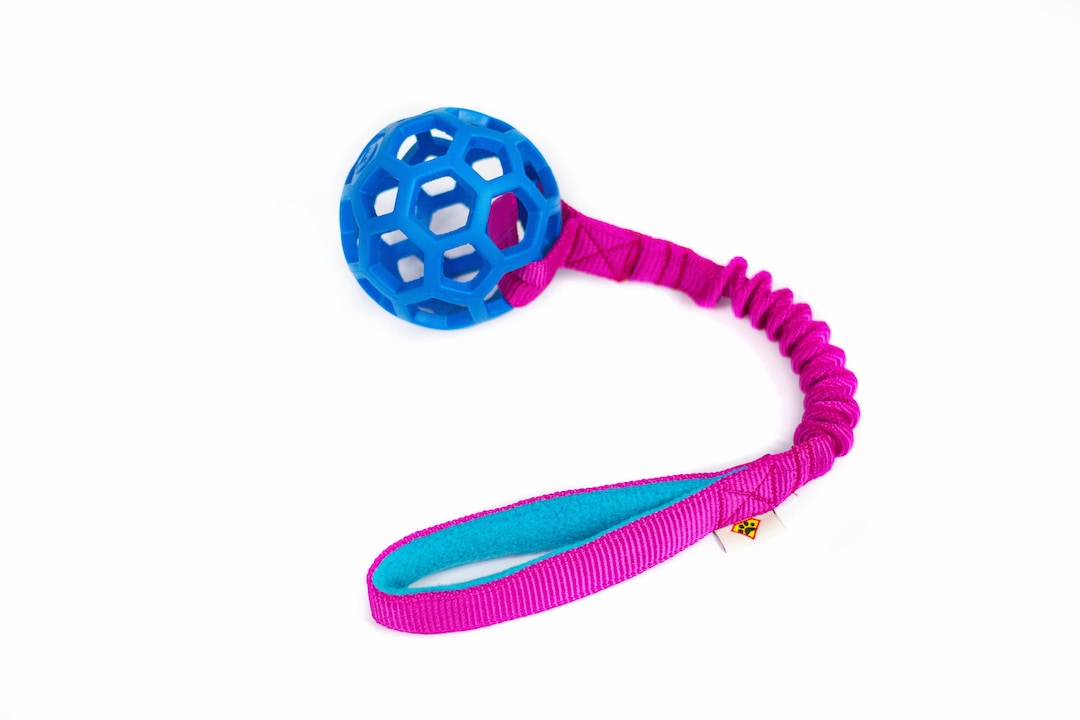 Hollee Ball With Bungee Handle - Durable Dog Toy - Colorful Toy for ...