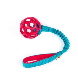 Hollee Ball With Bungee Handle - Durable Dog Toy - Colorful Toy for ...