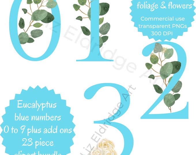 Eucalyptus Baby Blue Number Clipart Bundle, 0 to 9 Pink Clipart 300dpi ...