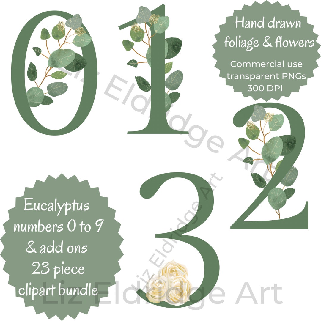 Eucalyptus Numbers 0 to 9 Clipart 300dpi Hand Drawn Foliage Plus Extra ...
