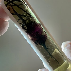 Resident Evil Umbrella Corporation Mold megamycete Virus - Etsy