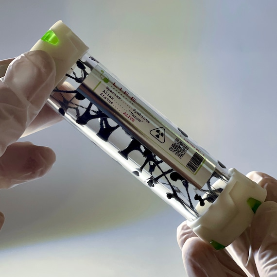 Venom Symbiote Custom Lab Capsule Prop Spider-man Version 2 - Etsy