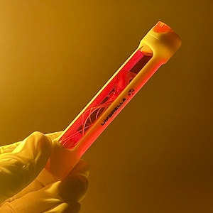 Resident Evil Umbrella Corporation NE-α Type Parasite nemesis - Etsy