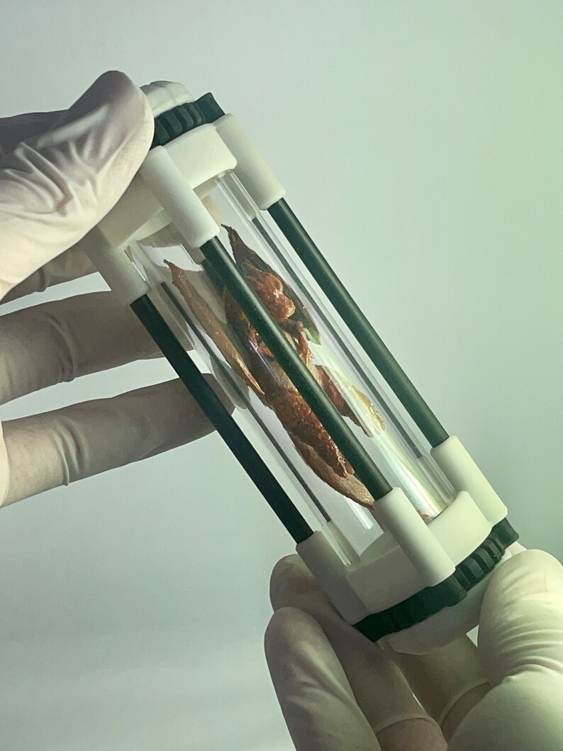 Pokemon Realistic Charizard Laboratory Containment Capsule - Etsy