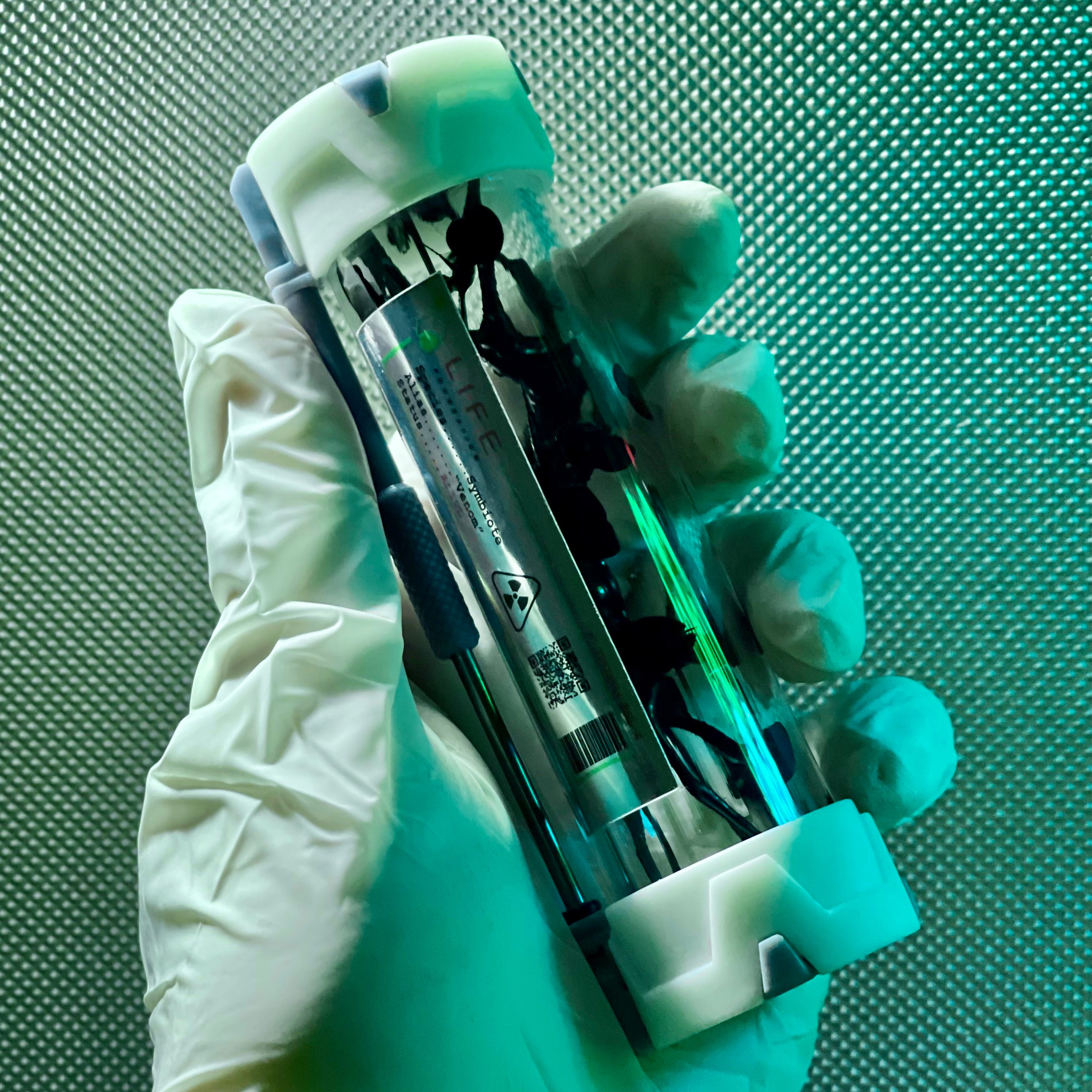 Venom Symbiote Lab Capsule Prop From Spider-man Villain - Etsy