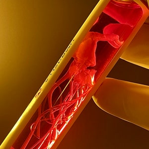 Resident Evil Umbrella Corporation NE-α Type Parasite nemesis - Etsy