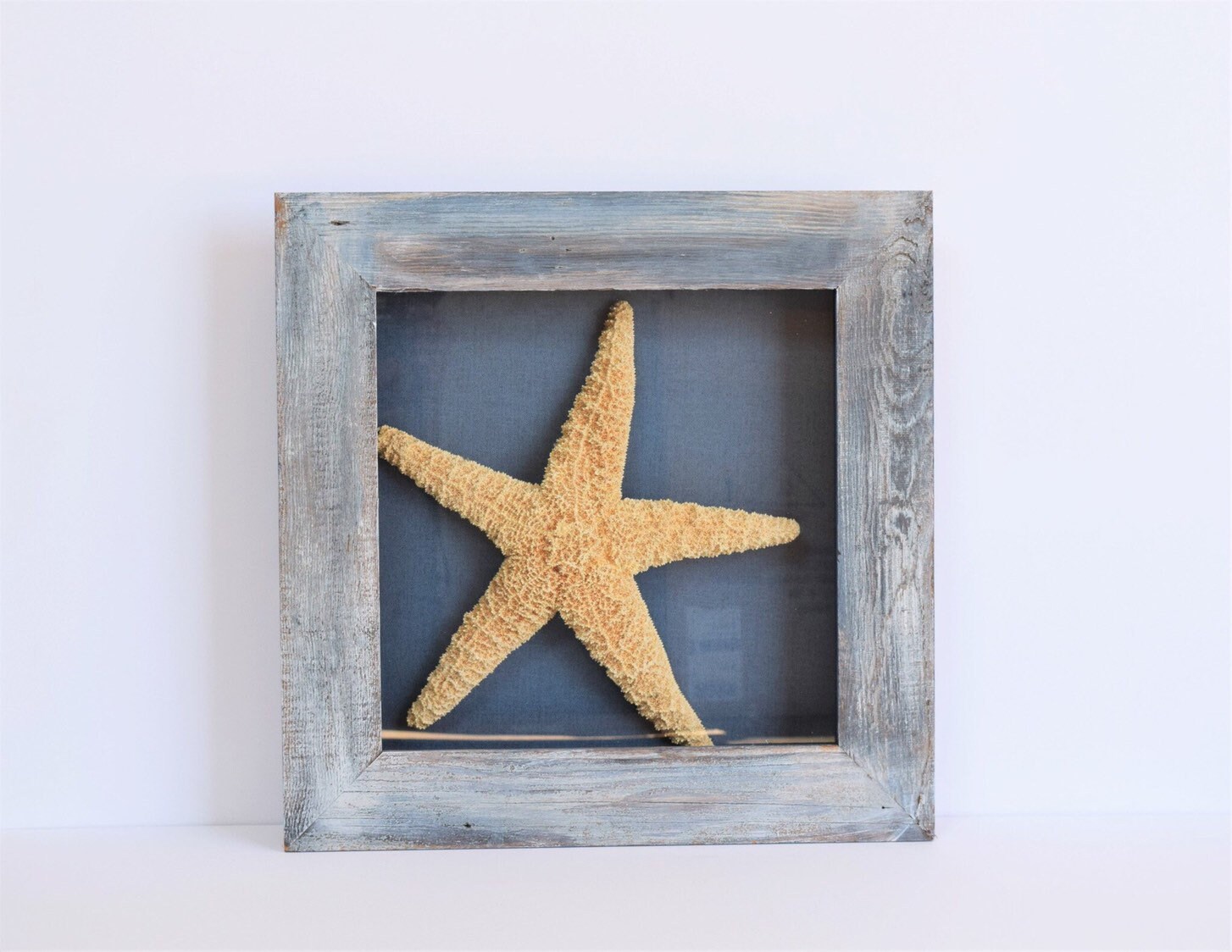 Shadow Box With Starfish - Etsy