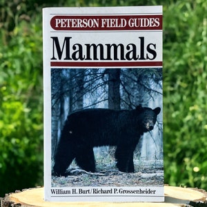 1980 mammals the Peterson Field Guide Series William Burt Illustrations ...