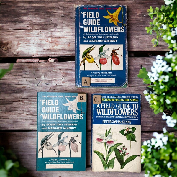 Field Guide - Etsy