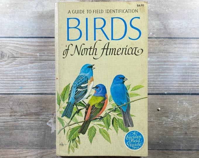 1966 "a Guide to Field Identification BIRDS of North America" Robbins ...