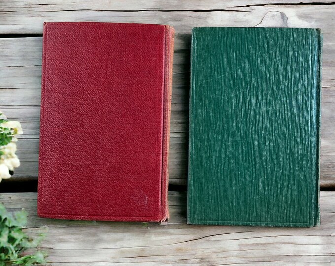 1920s Detective & Short Story Anthology: Vintage Hardcover Book Set - Etsy