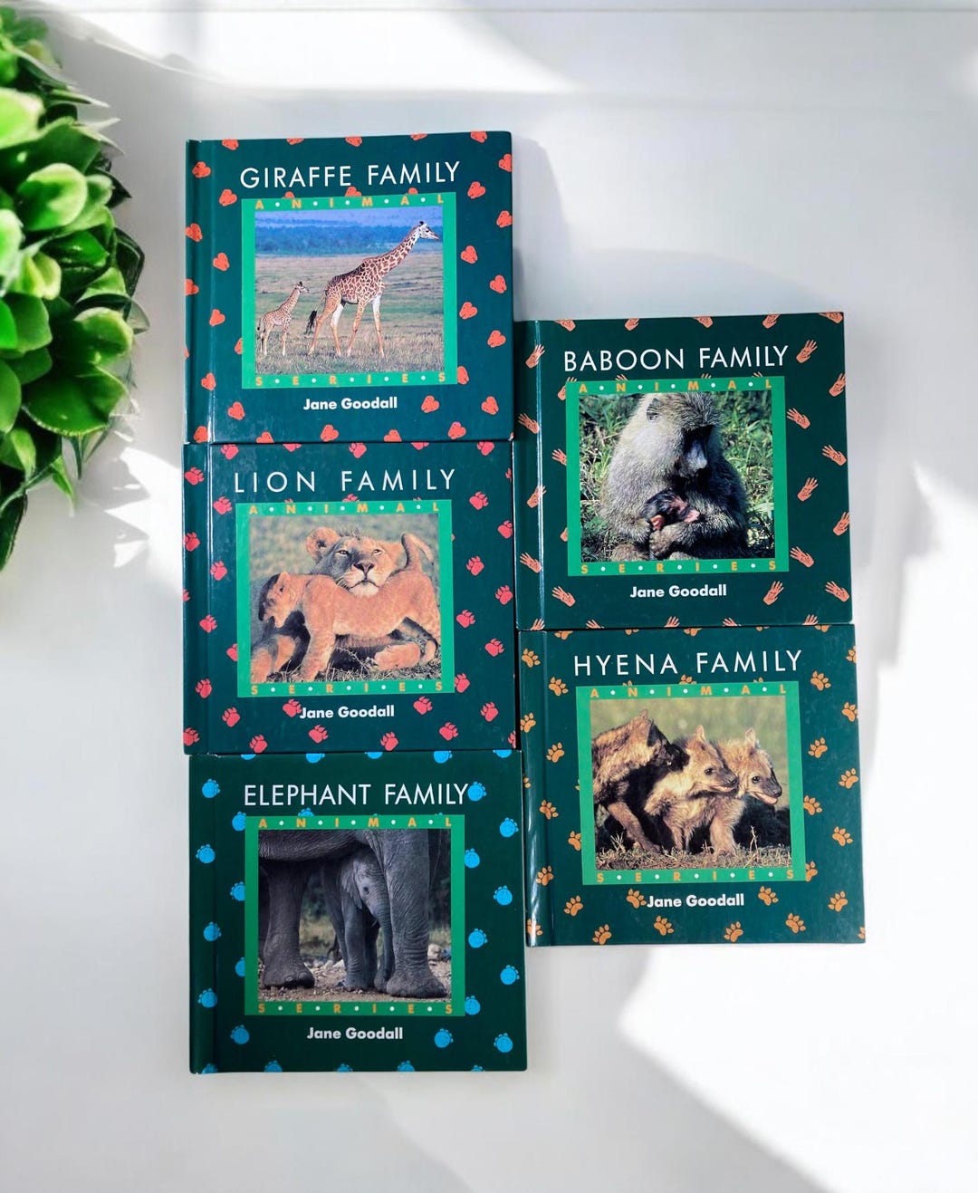 1991 JANE GOODALL Animal Series ~set of 5~ Vintage Hardcover Children's ...