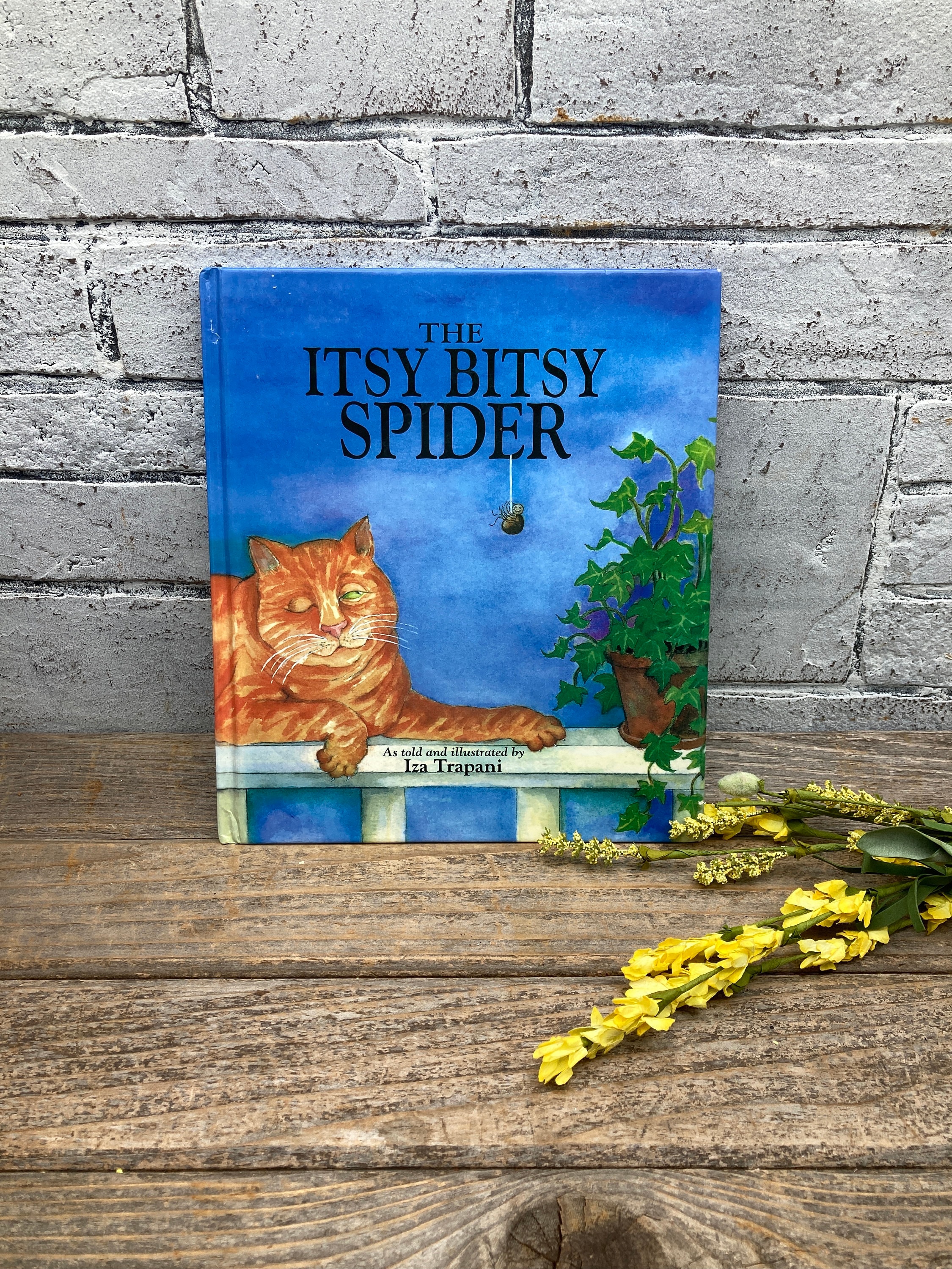 Itsy Bitsy Spider Book