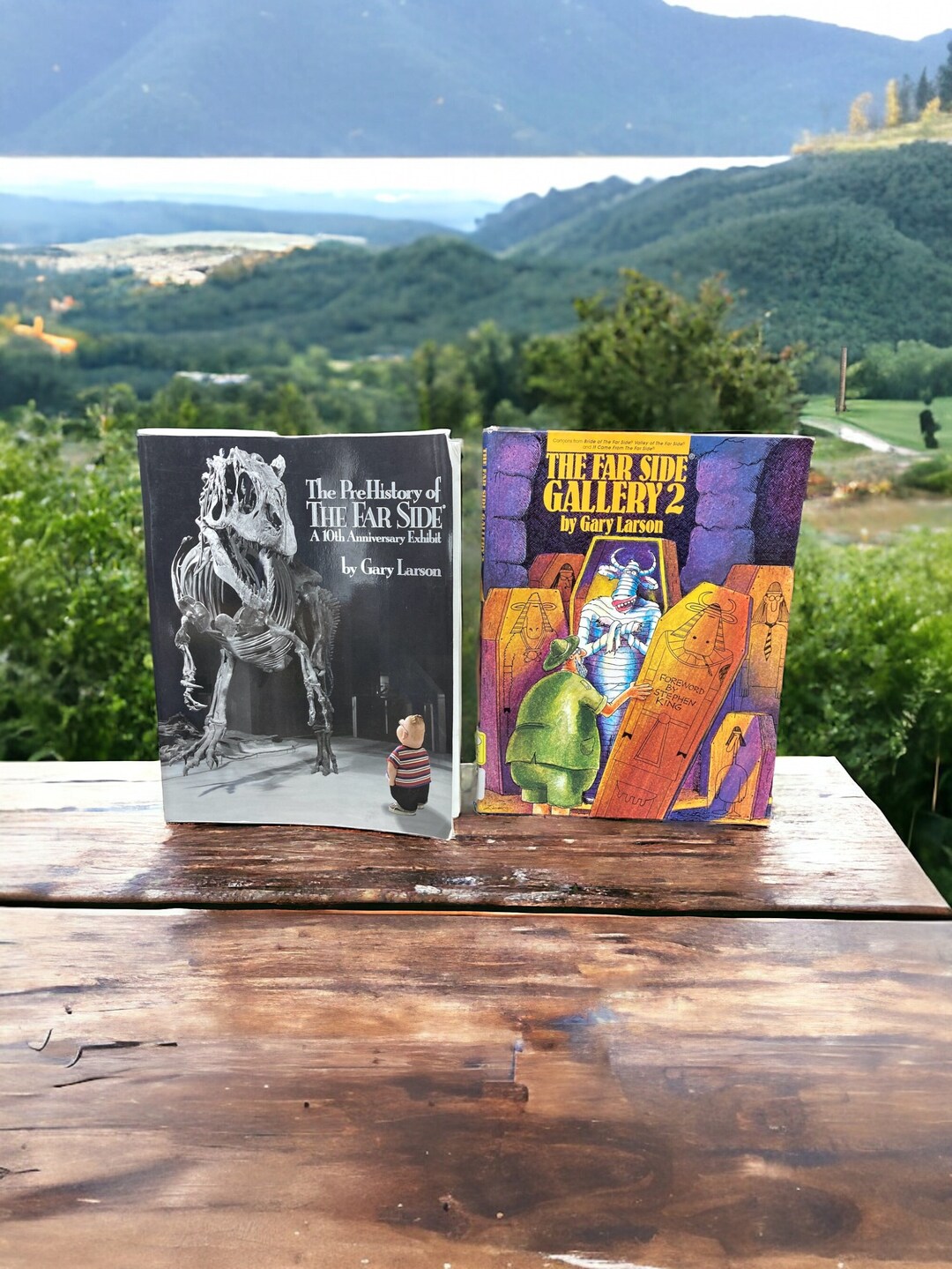 Vintage Gary Larson Far Side Book: Gallery 2 or Prehistory - Etsy