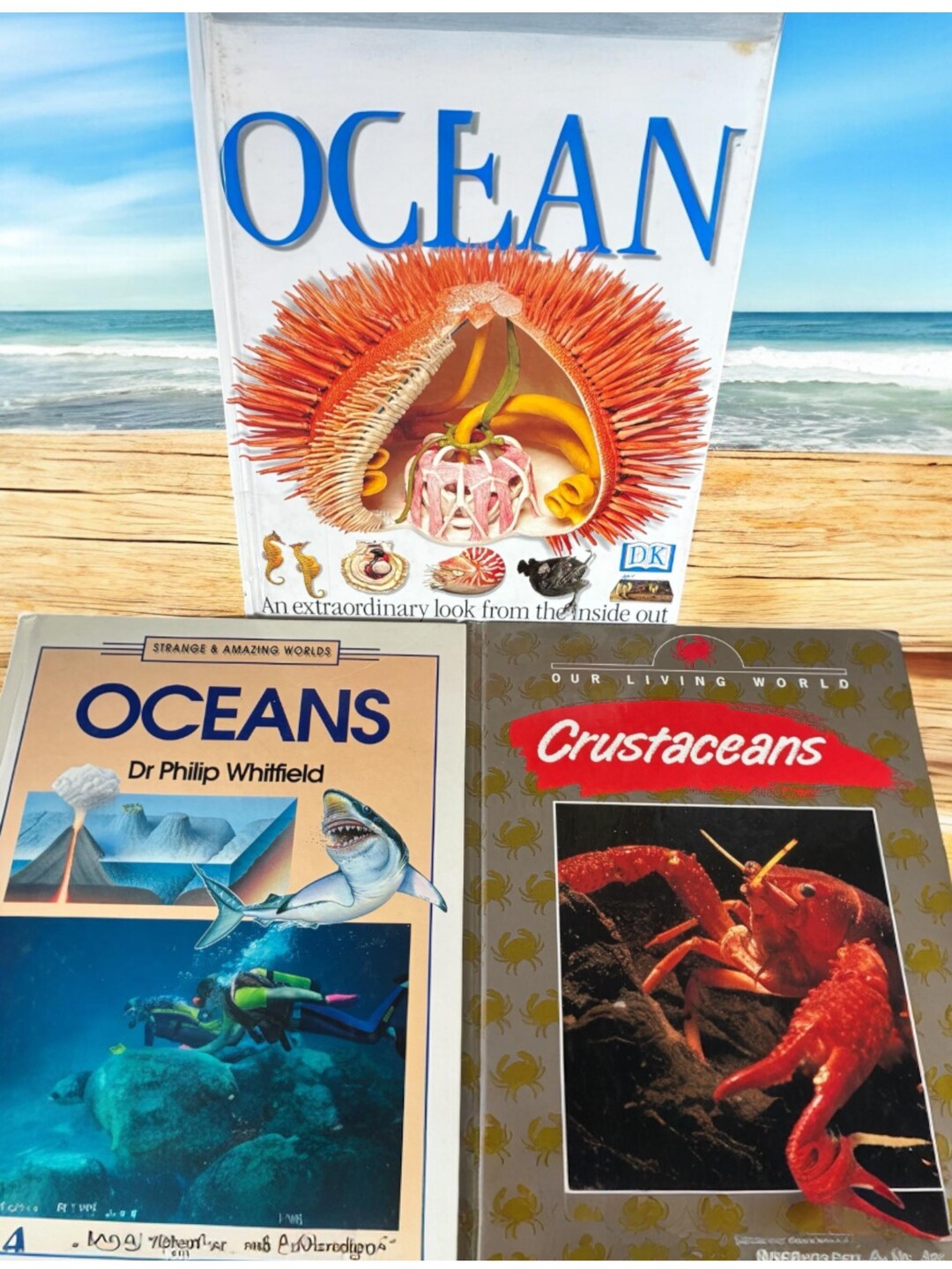 Set of 3: OCEANS / CRUSTACEANS Vintage Hardcover Reference Books ...