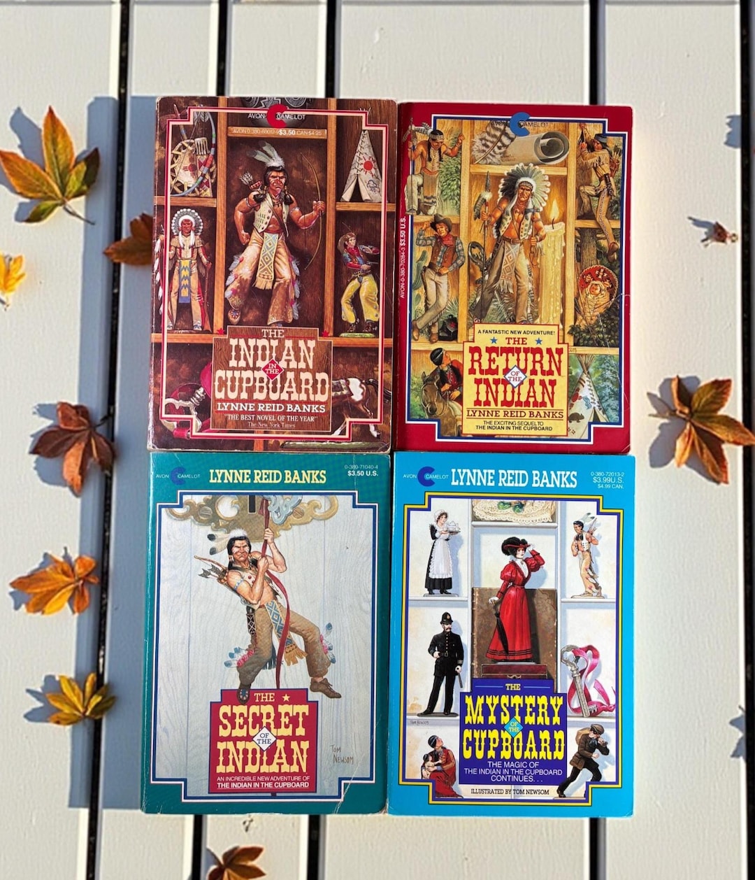The Indian in the Cupboard Book Series: Lynne Reid Banks Paperbacks - Etsy