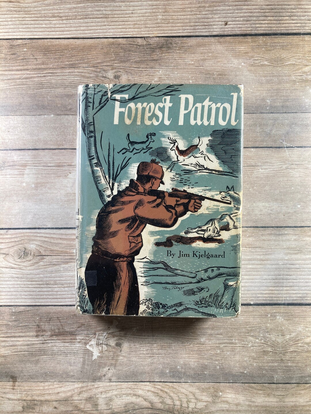 1951 "forest Patrol" Jim Kjelgaard Illustrations Tony Palazzo Vintage ...